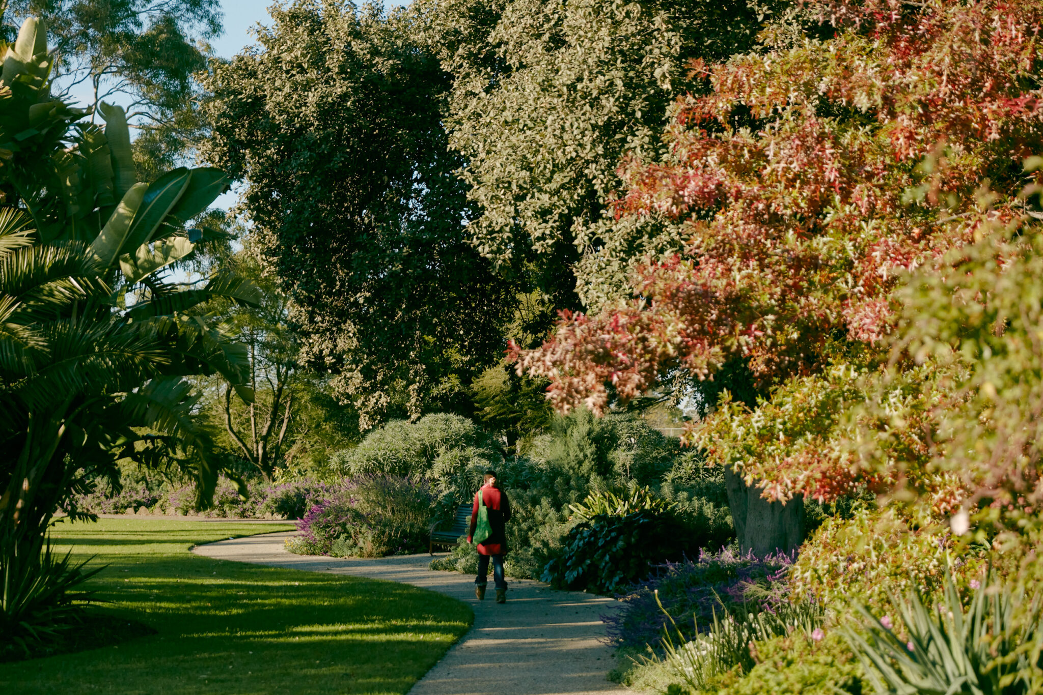 Pace Development Group | Design, Construct, Deliver