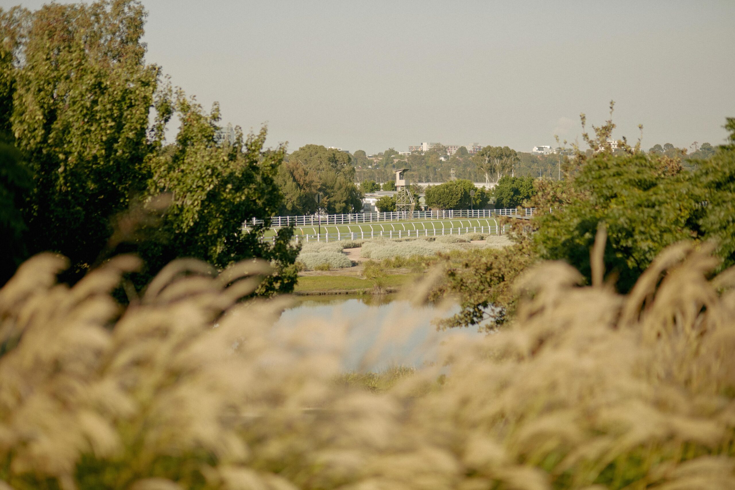 Your guide to Flemington’s local favourites - Pace Development Group