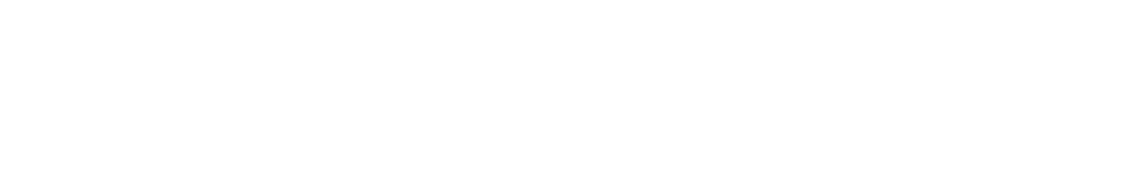The Archer - Pace Development Group