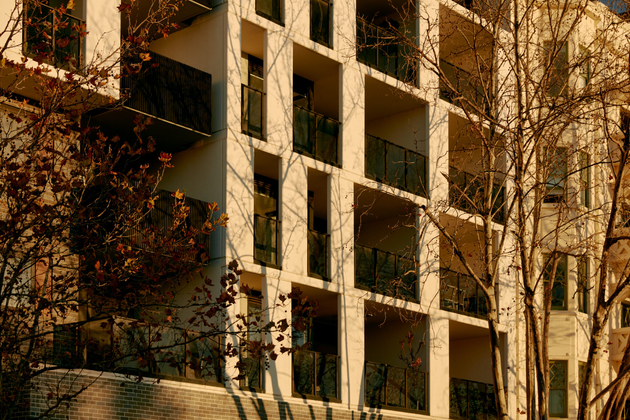 Pace Development Group | Design, Construct, Deliver